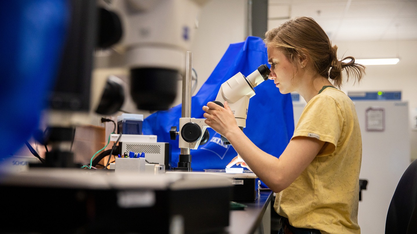 Division of Biology and Medicine | Brown University