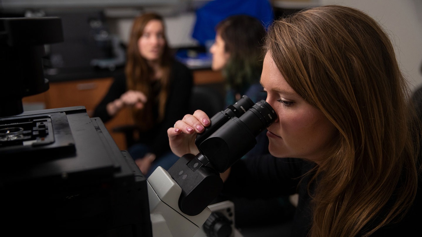 Research | Division of Biology and Medicine | Brown University